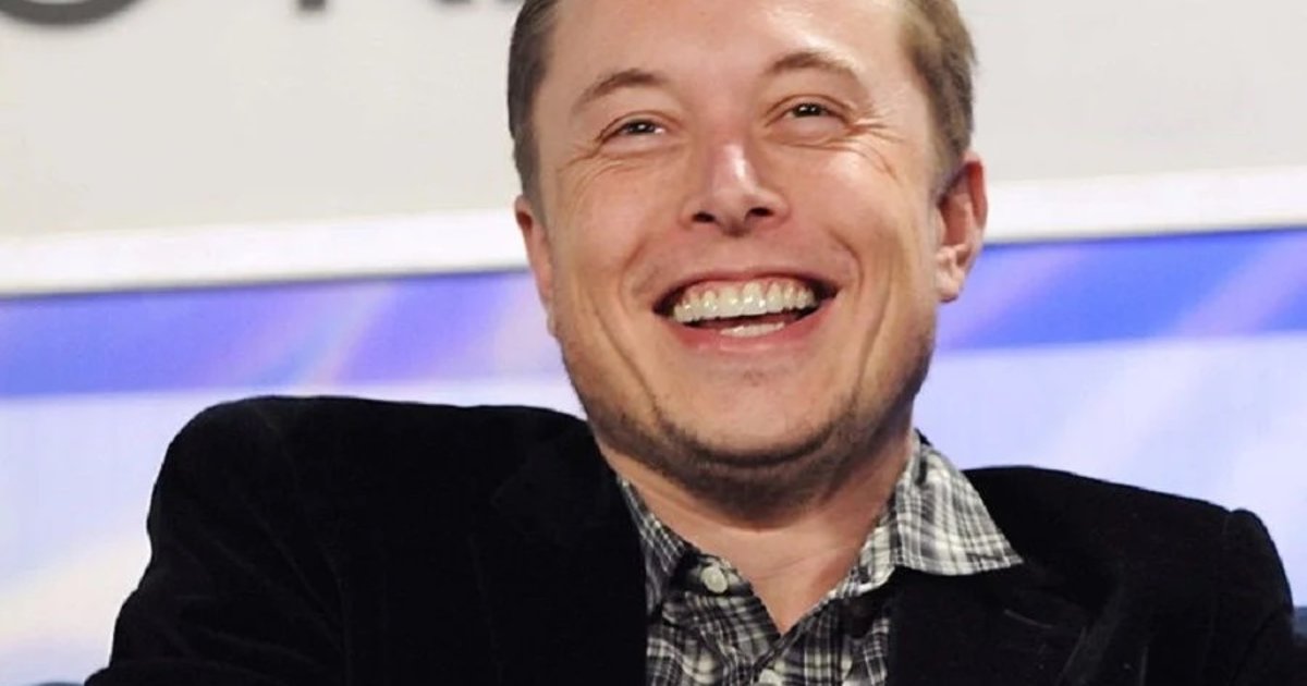 Elon Musk and his business partner abruptly leave DOGE